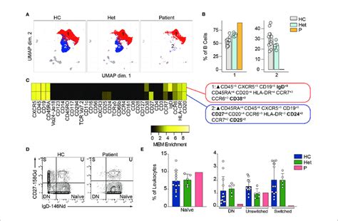 B Cells Immunophenotyping A Umap Representation Showing The B Cell
