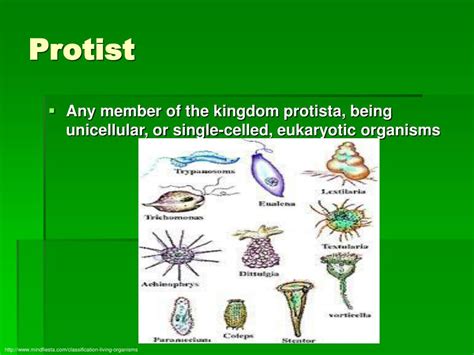 Ppt Chapter 18 Powerpoint Presentation Free Download Id4604975