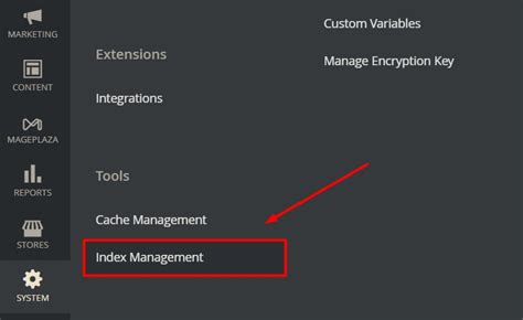 How To Reindex In Magento 2 Using Command Line And Backend Interface