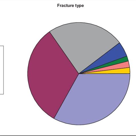 Distribution Of The Fractures According To Fracture Type Download