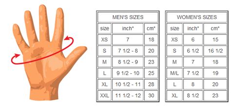 Normal Hand Size