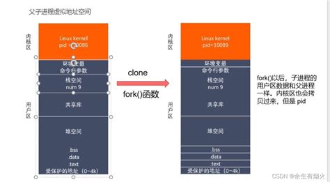 父子进程的虚拟空间父进程和子进程共享内存空间吗 Csdn博客