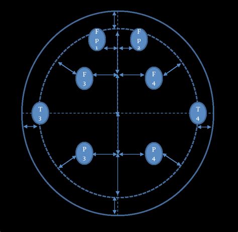 Electroencephalographic Electrode Attachment Site Download Scientific
