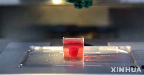 세포와 혈관 등 재현한 3d 프린팅 인공 심장