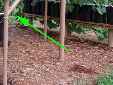 How To Build A Pvc Cucumber Trellis How To Build A Pvc Cucumber Trellis