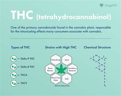 What Is Thc And How Does It Work Nuggmd