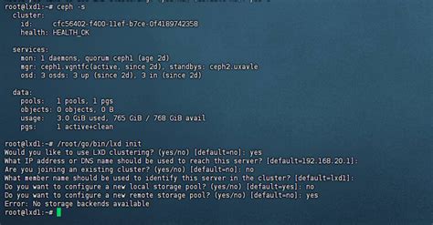 install lxd from source build a release lxd ubuntu community hub