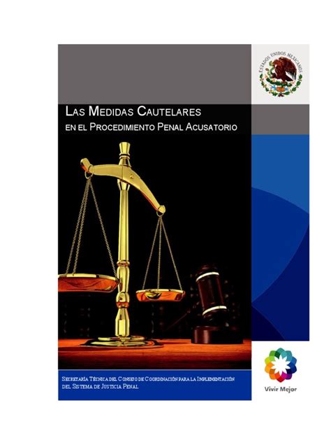 Las Medidas Cautelares En El Proceso Penal Acusatorio Pdf