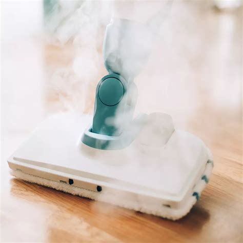 How Effective Is A Steam Mop At Ella Reibey Blog