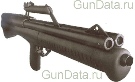 Помповое ружье Truvelo Neostead