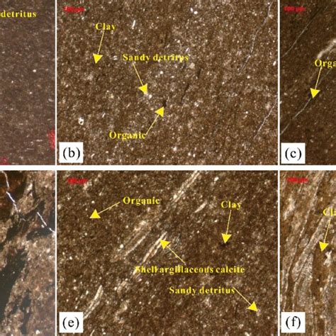 Microscopic Photos Of Continental Shale A High Carbon Clayey Shale
