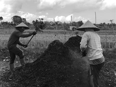 Urban Compost The Punch Community