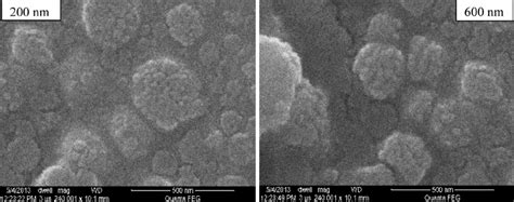 Sem Micrographs Of Bfo Thin Film Of Different Thickness Download