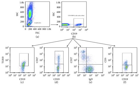 Increased Expression Of Tlr10 In B Cell Subsets Correlates With Disease