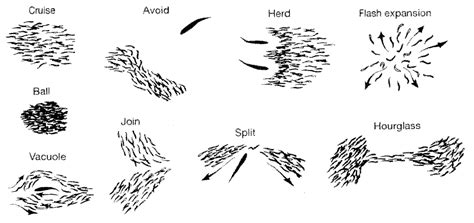 Anton Galkin Nano Robotics Swarm Aggregation