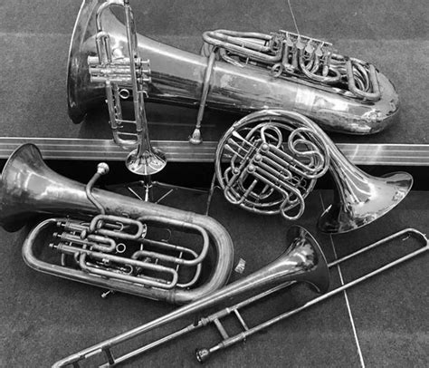 15 Types Of Brass Instruments Examples Gemtracks Beats