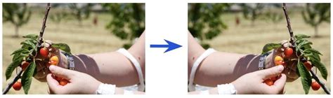 掌握强大的 Git 变基命令 Linux 中国 知乎 掌握强大的 Git 变基命令 Linux 中国 知乎