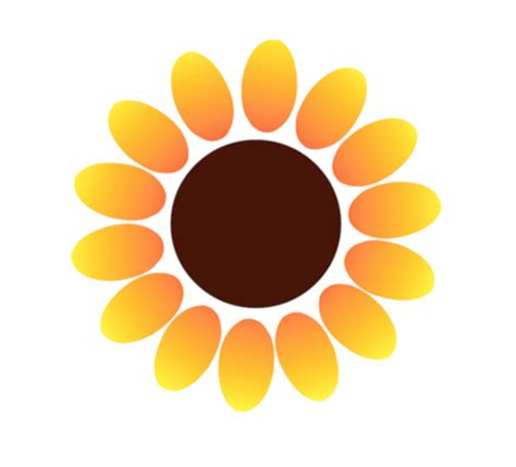 How Ronak Patel Ceo Of Sunflower Lab Transforms Companies Through Digital Solutions Top