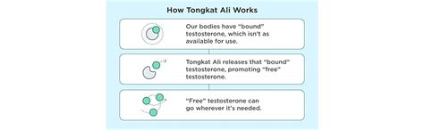 Olly Mighty Mojo Tongkat Ali Resveratrol And Pine Bark
