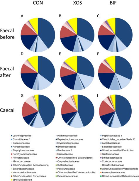 Bacterial Community Composition In Faecal And Caecum Content Samples
