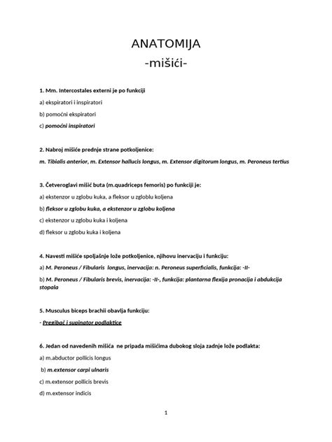 Misici Pdf