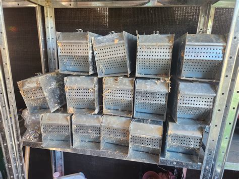 Mini Meadows Mini Meadows Added A New Photo