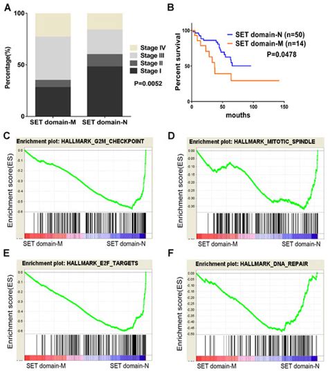 Genetic Alteration Of Histone Lysine Methyltransferases And Their