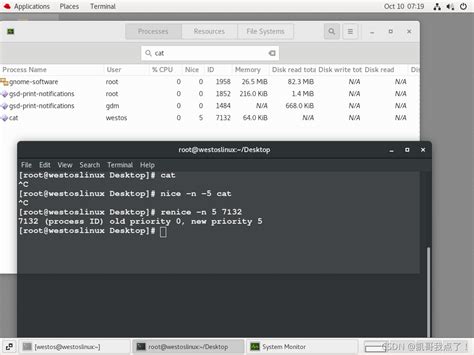 linux 第一本书 第六单元 linux中的进程管理 linux 凯哥 csdn博客