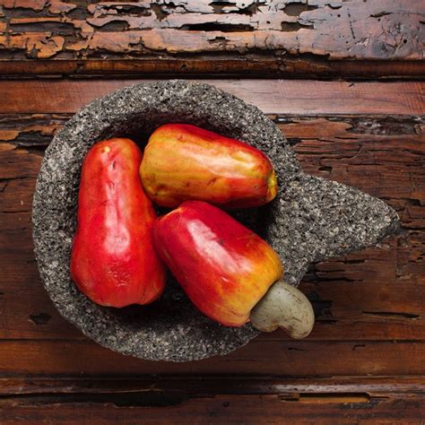 Cashew In Spanish Guatemala At Mildred Fulcher Blog