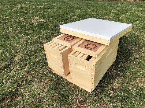 2 Way 4 Frame Nuc Bee Hive W Frames And Foundations Fully Etsy