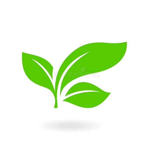 Flat Leaves Icons Abstract Green Leaf Logo Stock Vector Illustration Of Ecology Tree 144904359