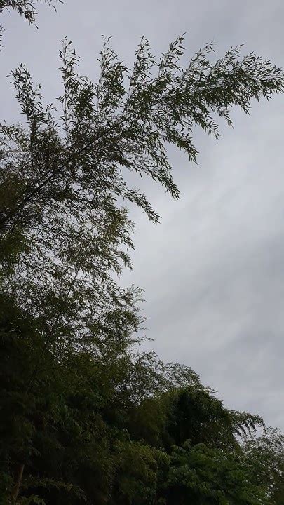 きんえんに挑戦。22枚目。 Youtube