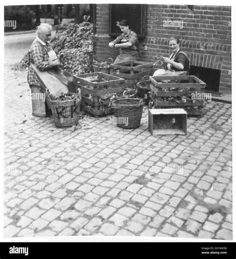 Kitchen Unit Production Cut Out Stock Images And Pictures Alamy