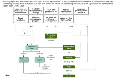 Solved How Might You Add Sexual Reproduction And Asexual Reproduction