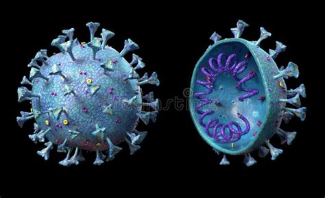 Virus Crosssection Stock Illustrations 89 Virus Crosssection Stock