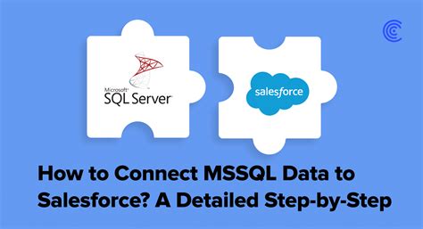Connect Mssql Data To Salesforce 3 Powerful Methods Revealed