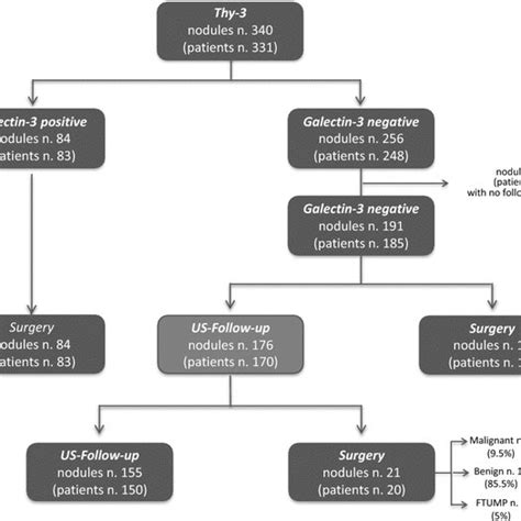 Flow Schematic Representation Of Thy 3 Thyroid Nodules Managed In The
