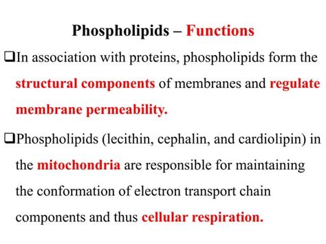 Structural Lipidspptx