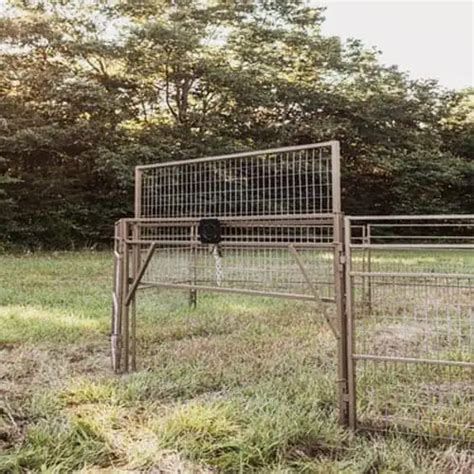 Professional Wildlife And Hog Trappers Dalton Wildlife Solutions