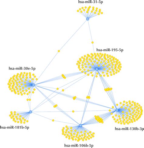 Regulatory Networks Of Mirna‐over Targeted Transcripts Enriched For Download Scientific Diagram