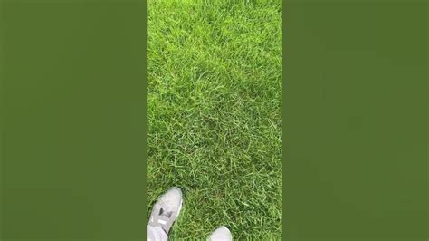 How To Touch Grass Ft Warzone12310 Youtube