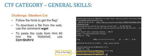 CTF CATEGORY GENERAL SKILLS Junior CyberSecurity Olympiad