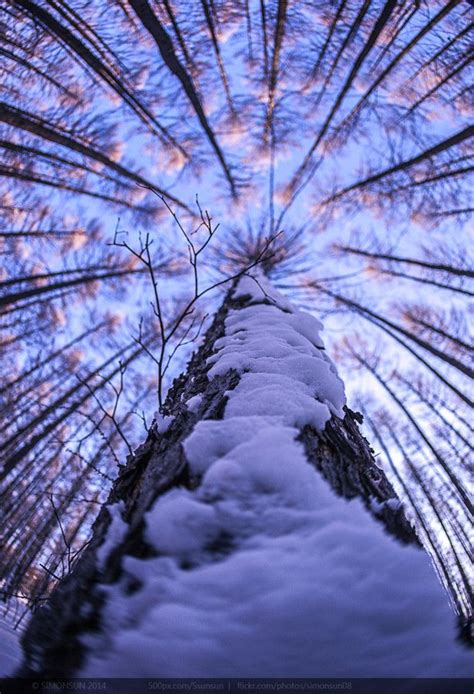 Unique Nature Photography Ideas