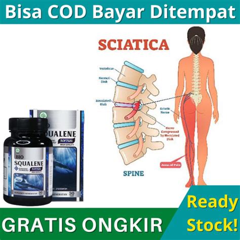 Jual Obat Skiatika Sciatica Nyeri Pungguh Bawah Menjalar Ke Bokong