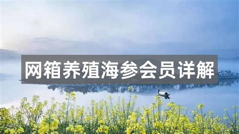 网箱养殖海参会员详解