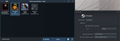 Wont Remember Information Issue TCNOco TcNo Acc Switcher GitHub