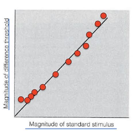psychophysics final flashcards quizlet