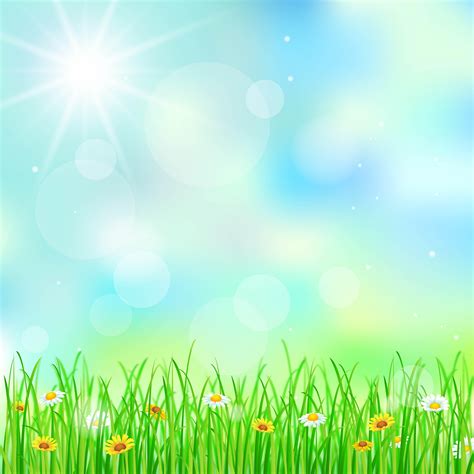 Spring Grass Wallpapers Top Free Spring Grass Backgrounds