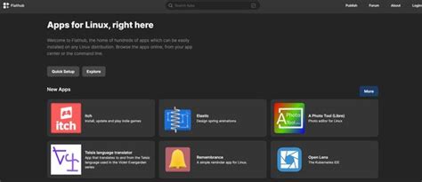 flathub plans to evolve as the universal linux app store
