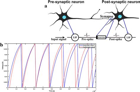 A The Bioinspired Snn Architecture Consisting Of A Presynaptic Neuron